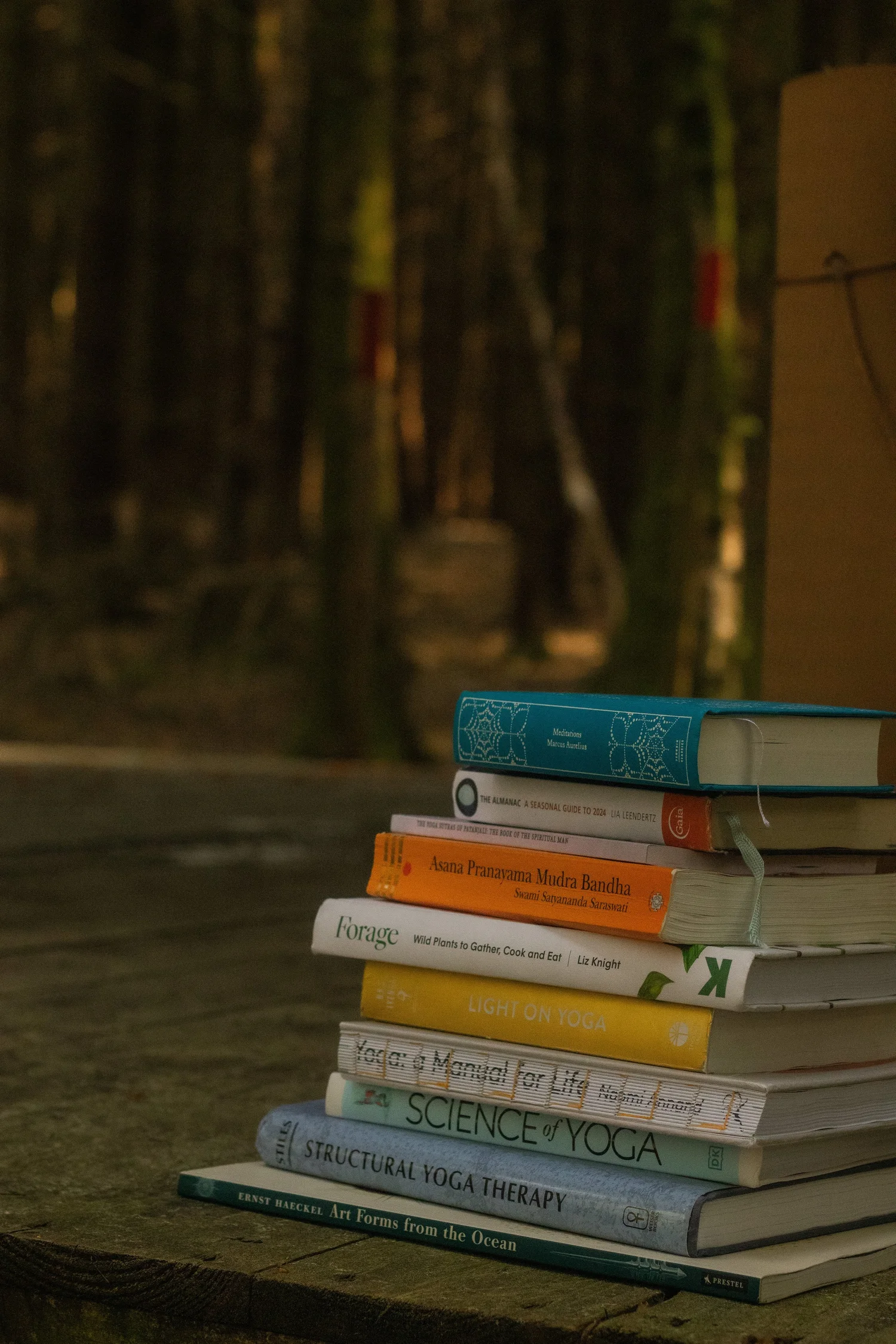 Book Day and Weekend Yoga Retreats — Aether Yoga