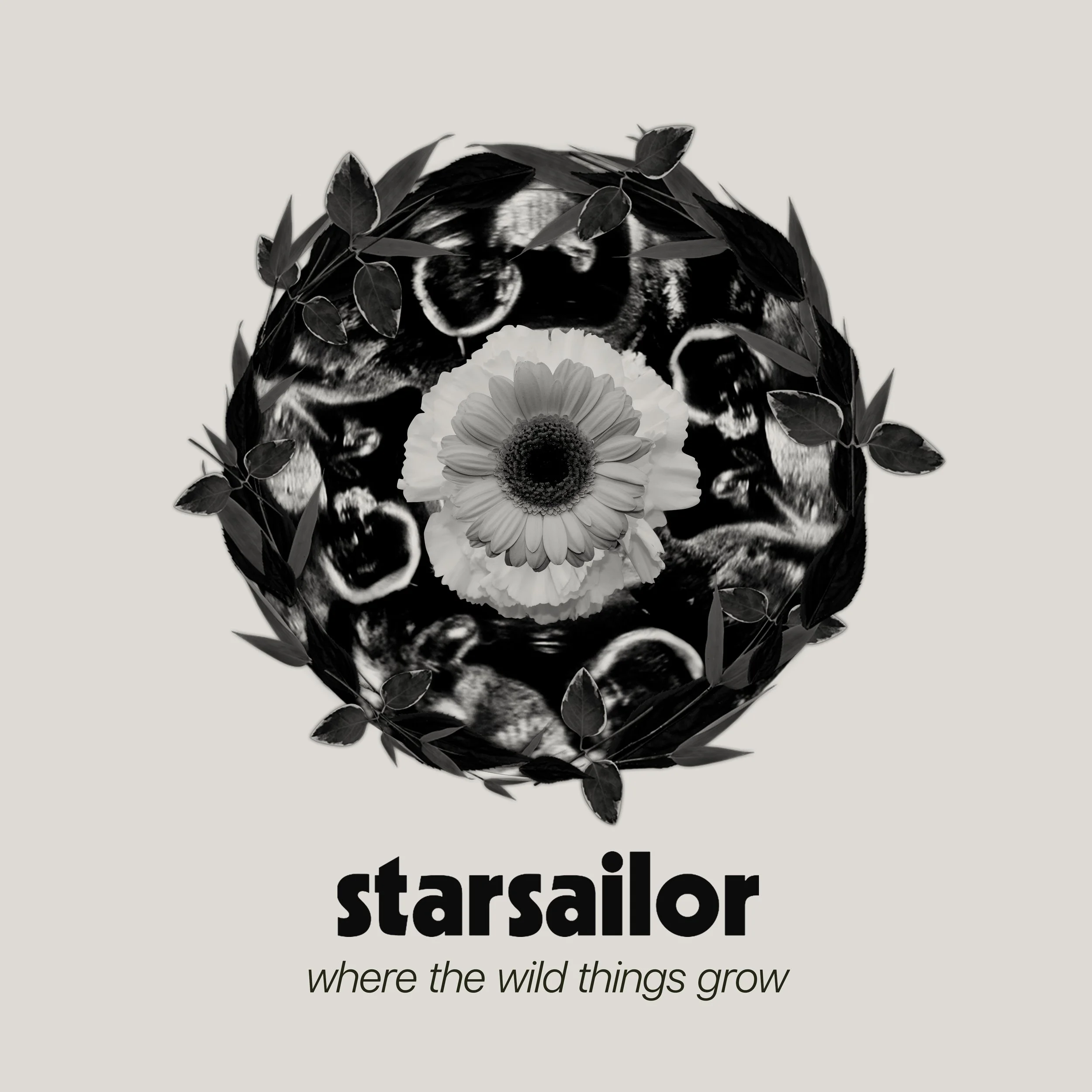 Starsailor — Starsailor News