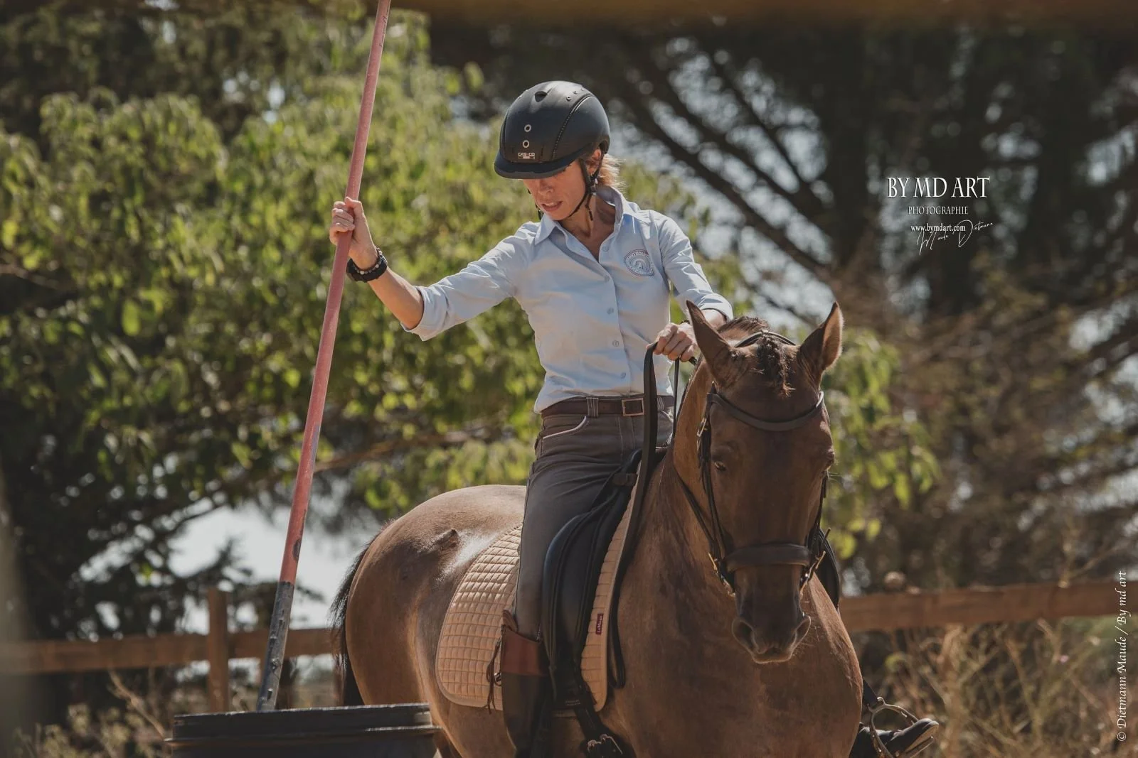 Ease of Handling 101: your guide to Working Equitation obstacles ...