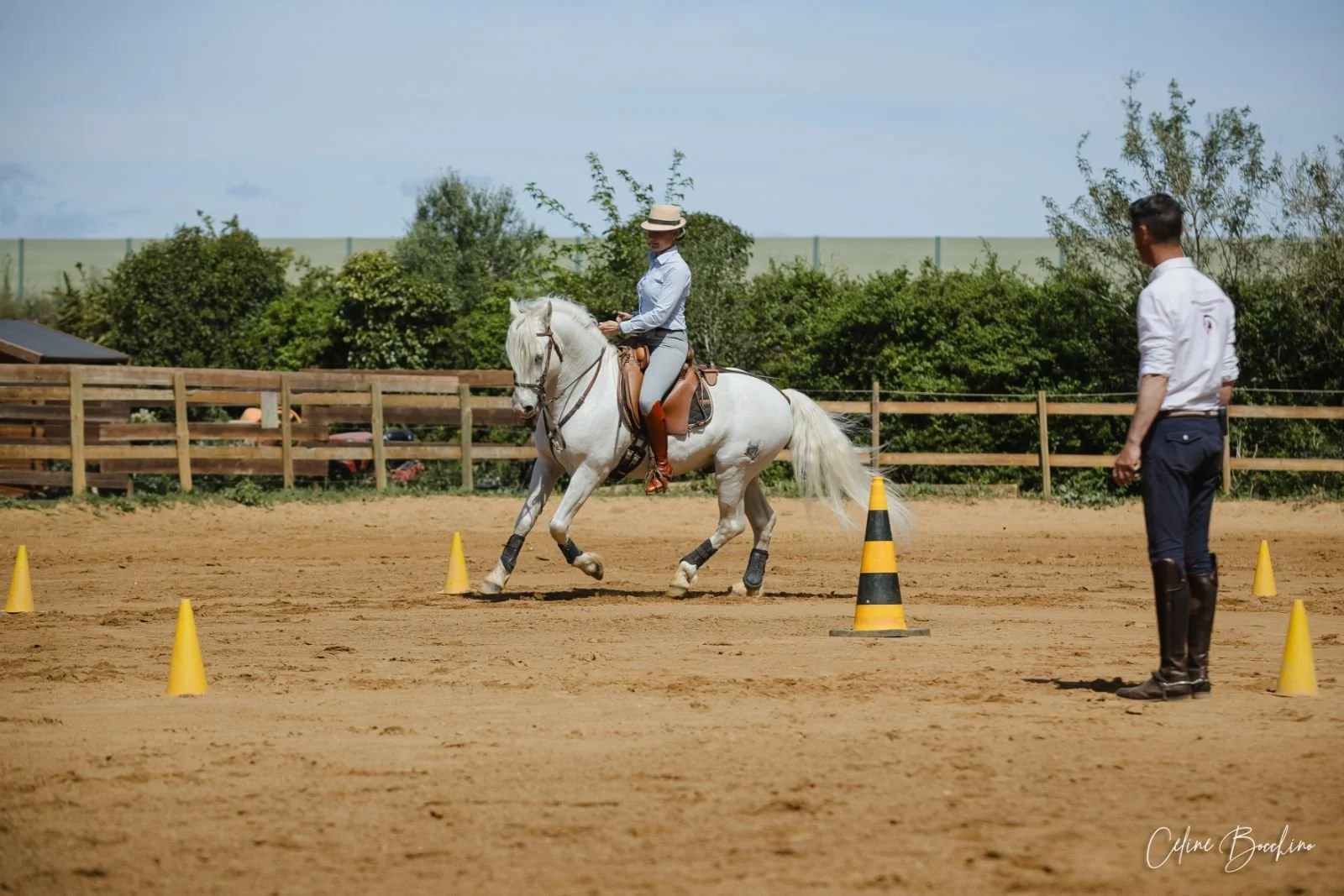 Using cones to enhance your horse’s training — Working Equitation Academy