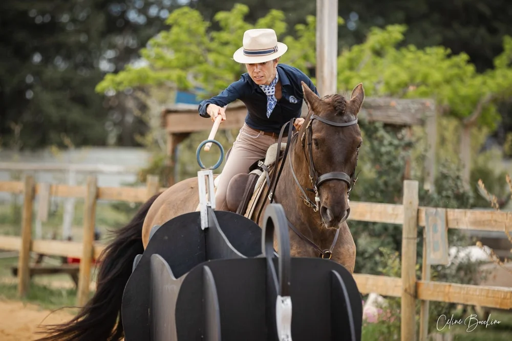 Ease of Handling 101: your guide to Working Equitation obstacles — Working Equitation Academy