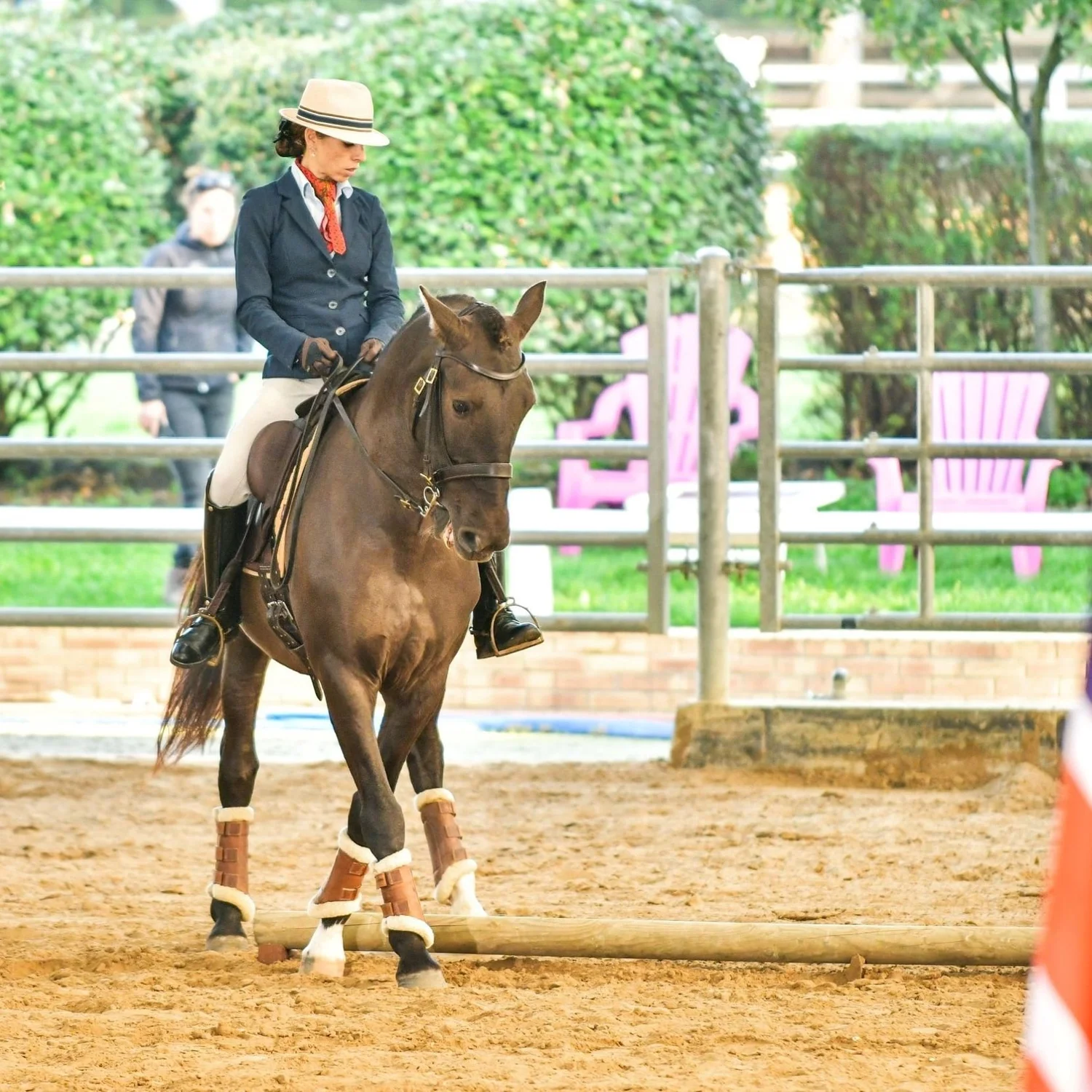 Ease of Handling 101: your guide to Working Equitation obstacles ...