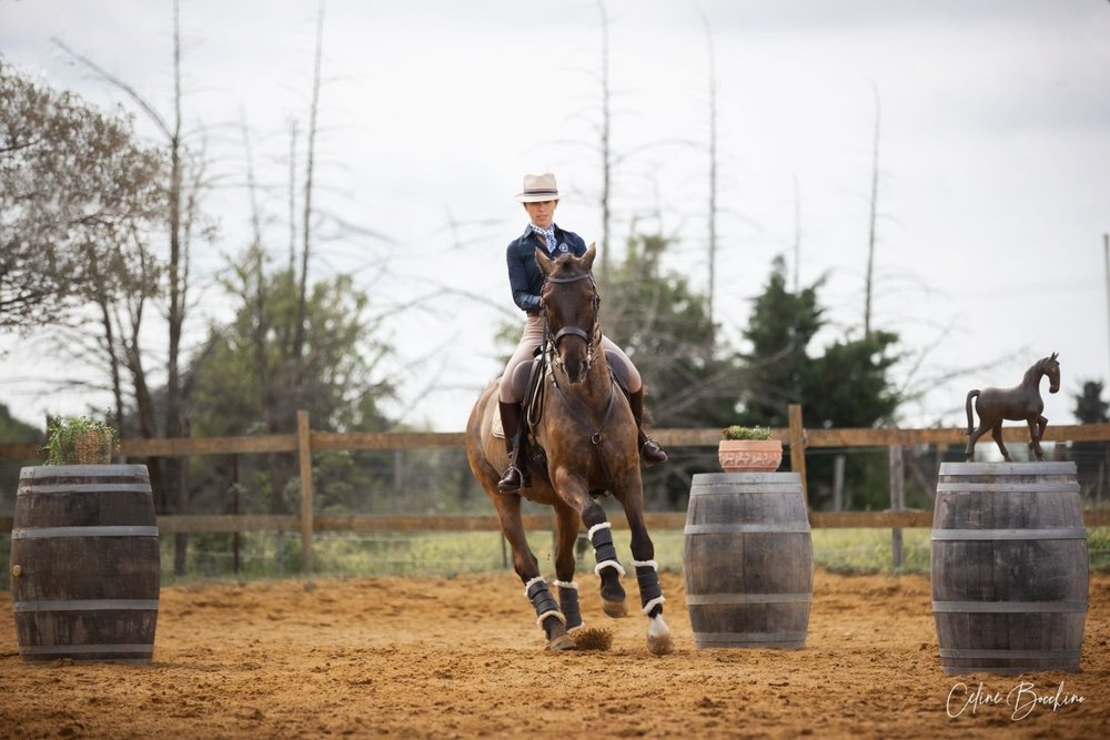 Ease of Handling 101: your guide to Working Equitation obstacles — Working Equitation Academy