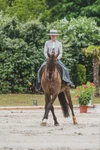 What is Working Equitation? — Working Equitation Academy