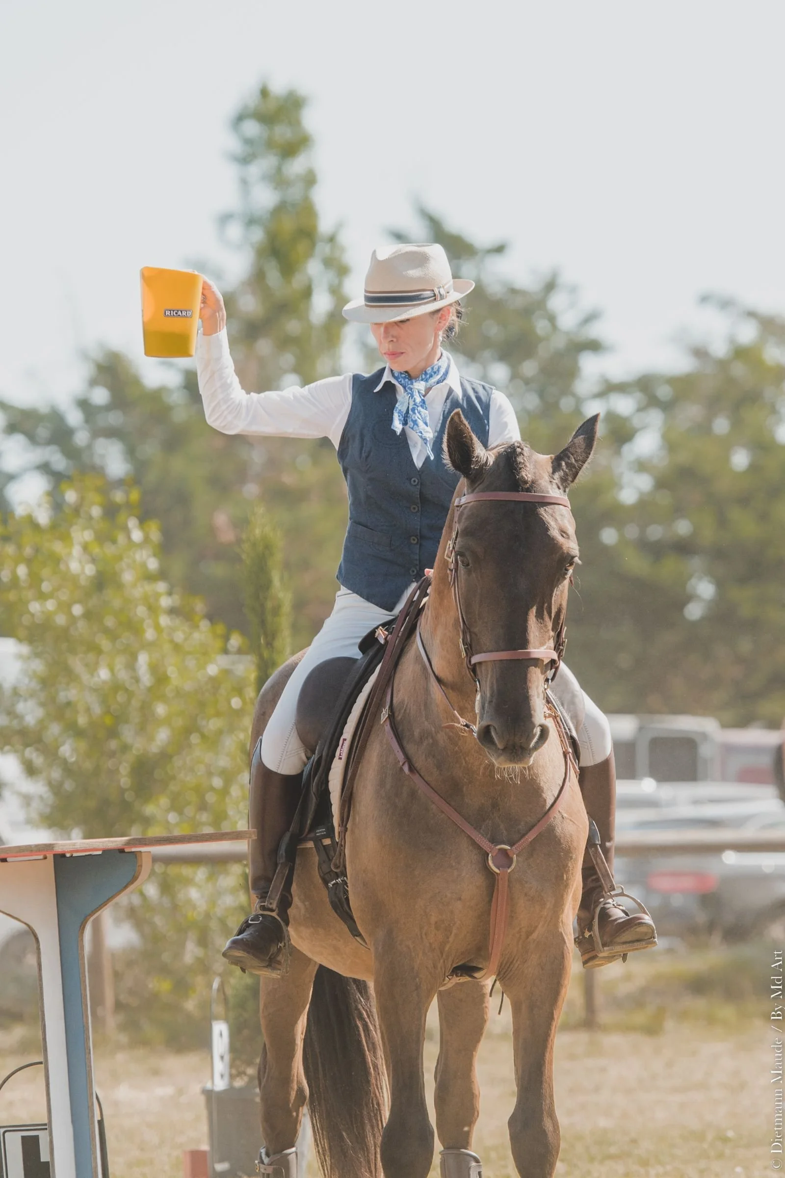 What is working equitation? — Working Equitation Academy