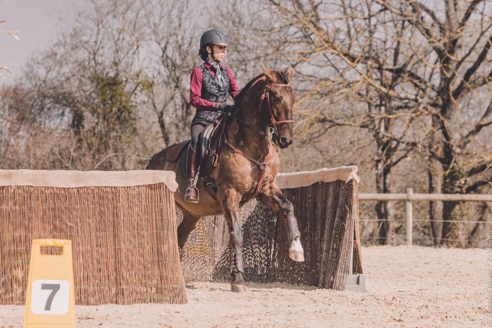 Ease of Handling 101: your guide to Working Equitation obstacles ...