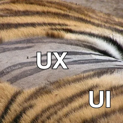 19 UX vs. UI Memes That Will Haunt Your Soul — Jeff Humble