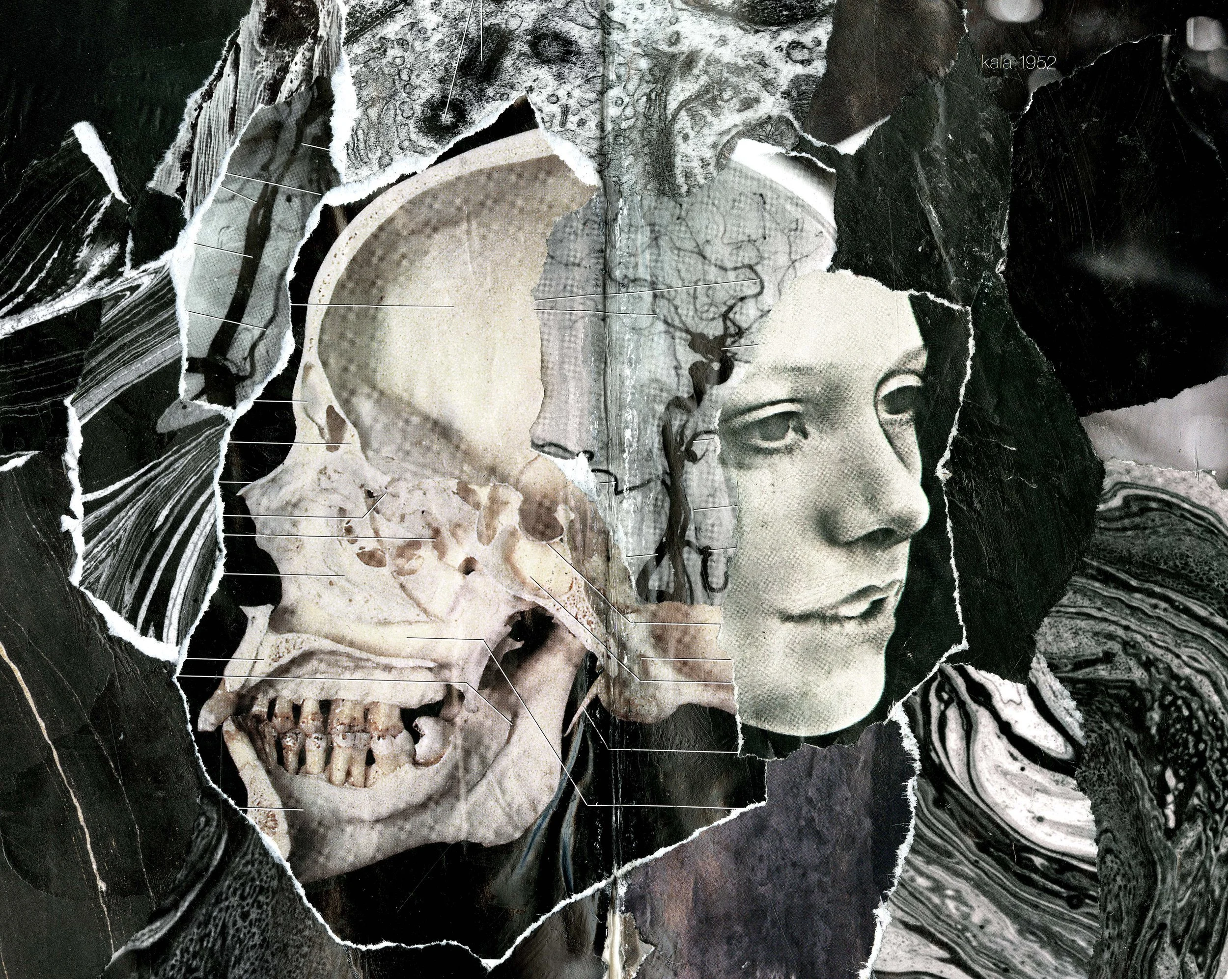 Deanna Black — Collage Philadelphia