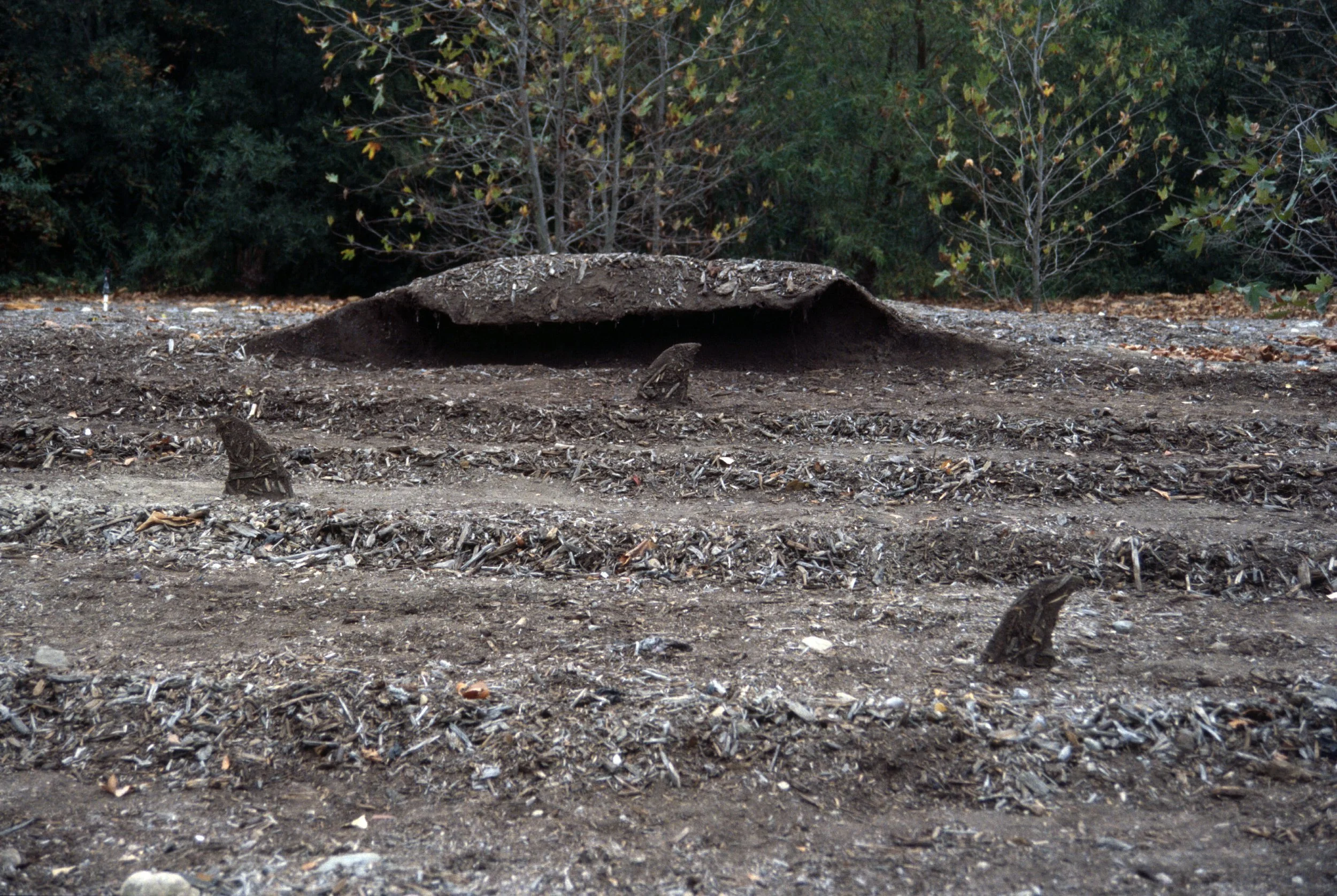 Outdoor Installations — Stanton Hunter