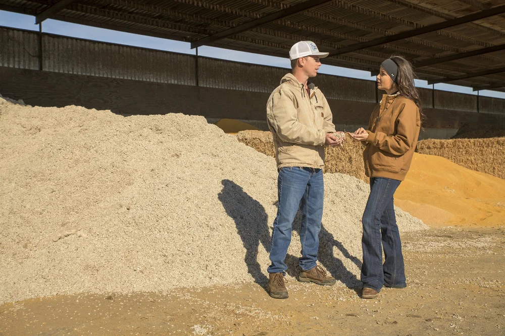 Alexandra Macedo for State Assembly