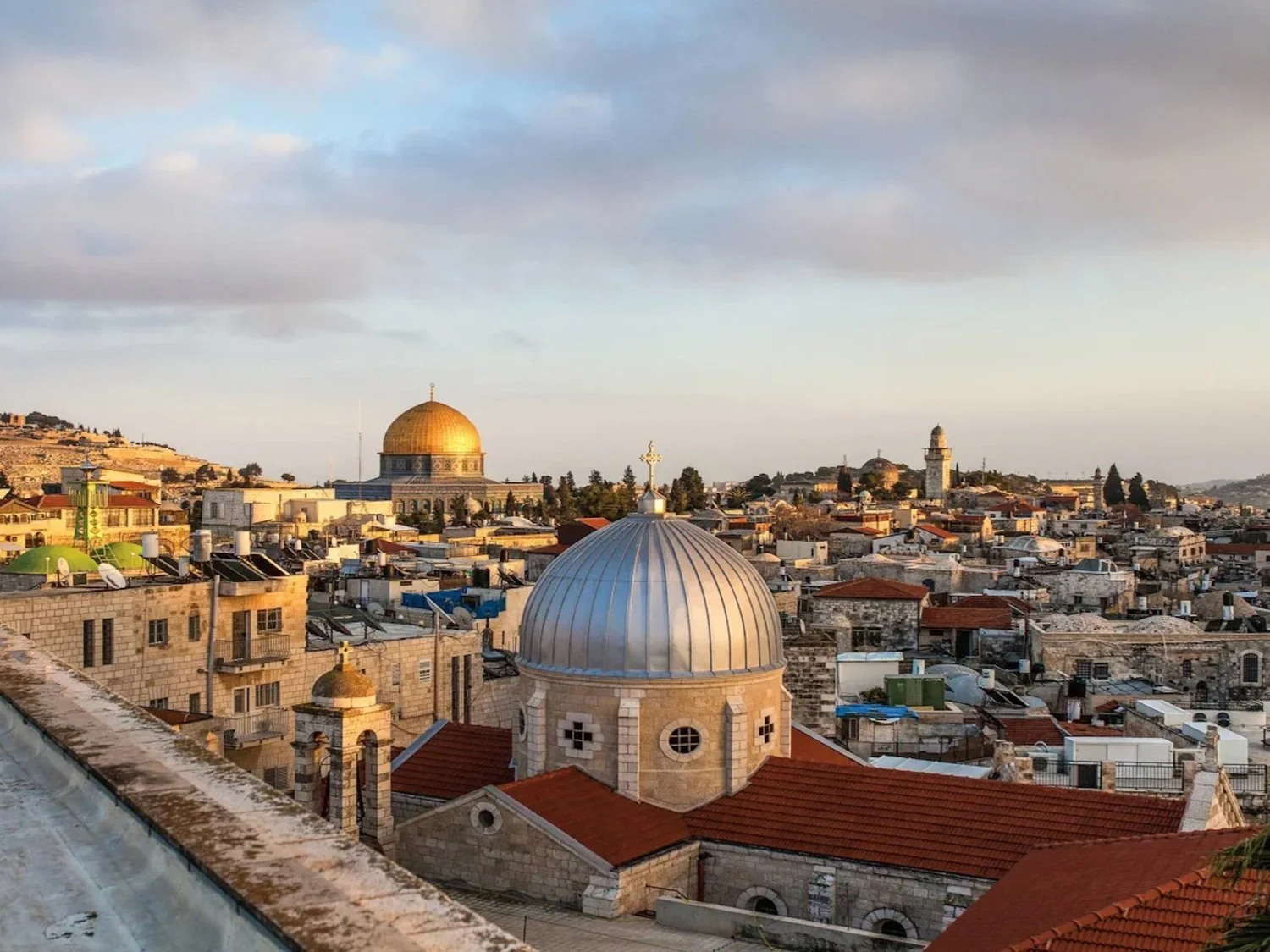 Madison Rachel Margolin • מרגלית רחל