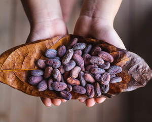 Create a Heart Opening Cacao Ceremony at Home: Experience Love and ...
