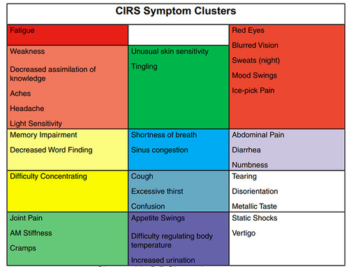Chronic inflammatory response syndrome - What is it? — MouldWise