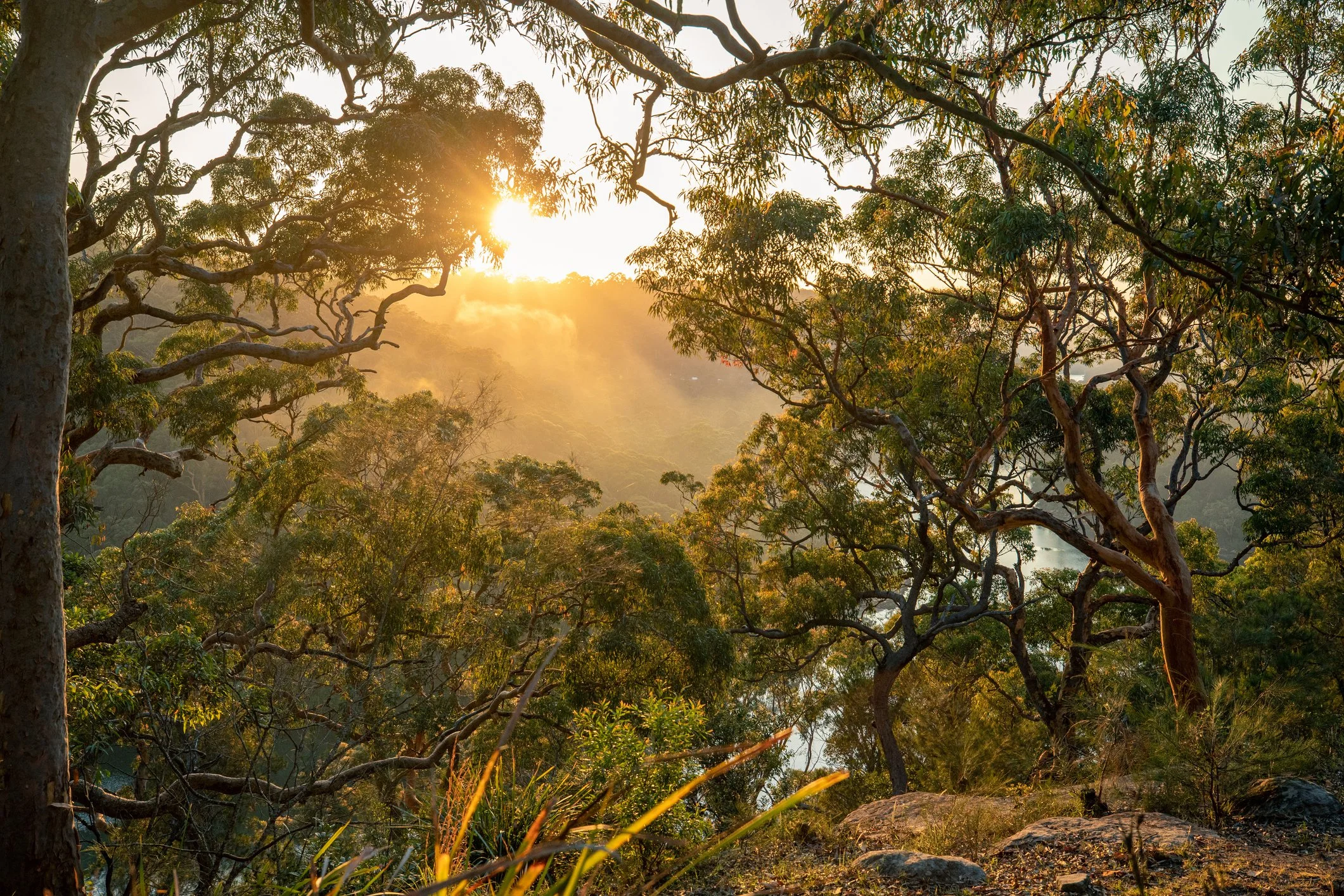 Local Action for Future Generations — Foundations for Tomorrow