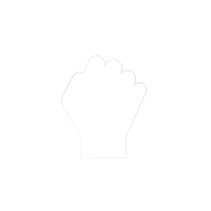 The Intergenerational Fairness Coalition — Foundations for Tomorrow