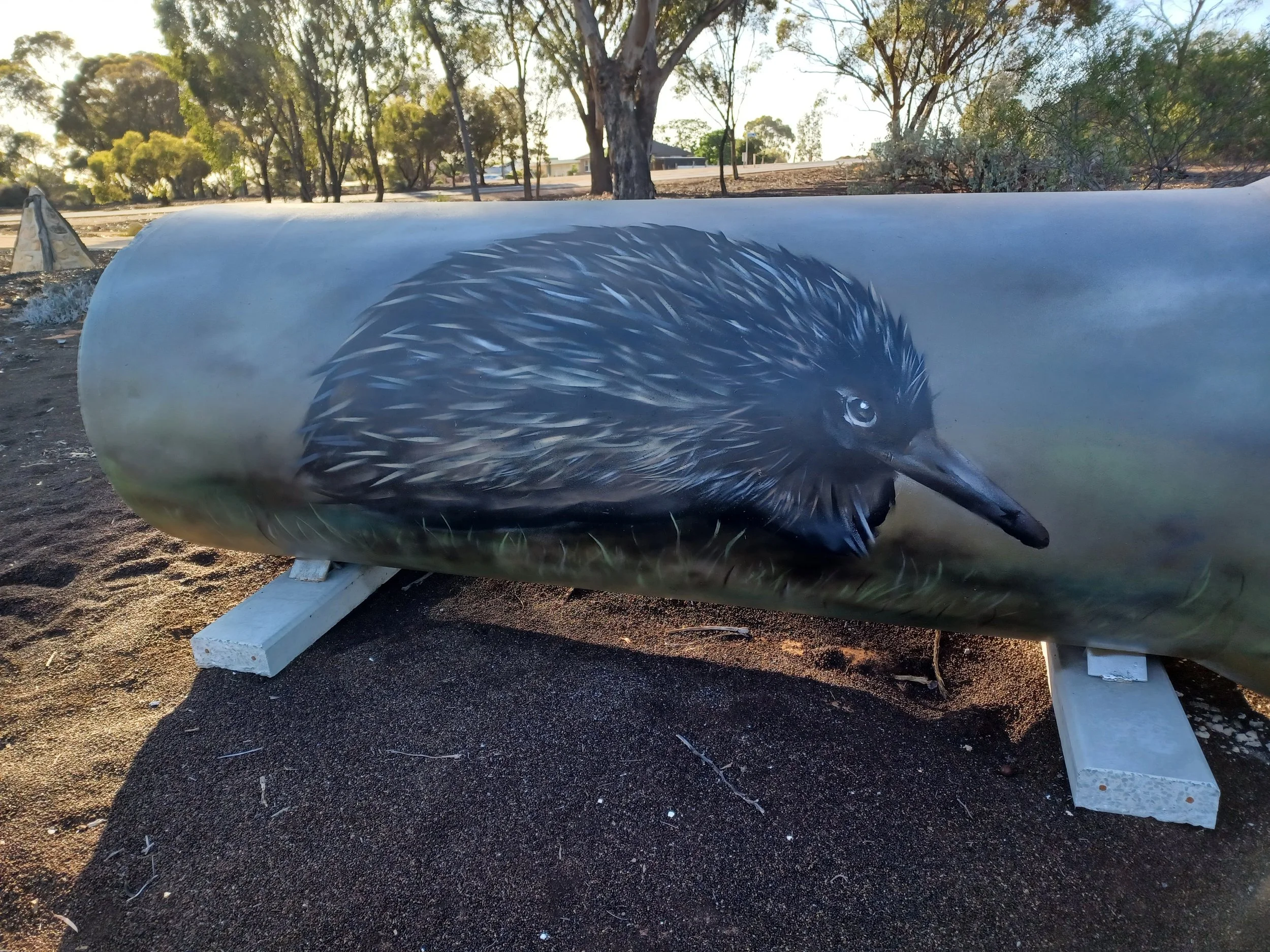 Mini Silo Art Trail — Loxton Community Futures