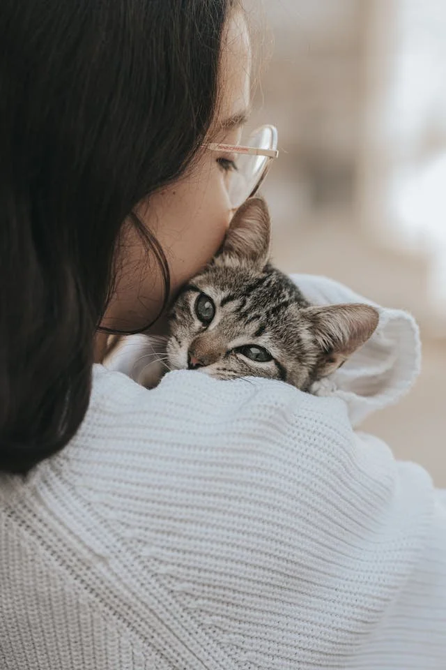 Unlock The Hidden Joys Of Volunteering In Pet Communities — Best Pet Daily