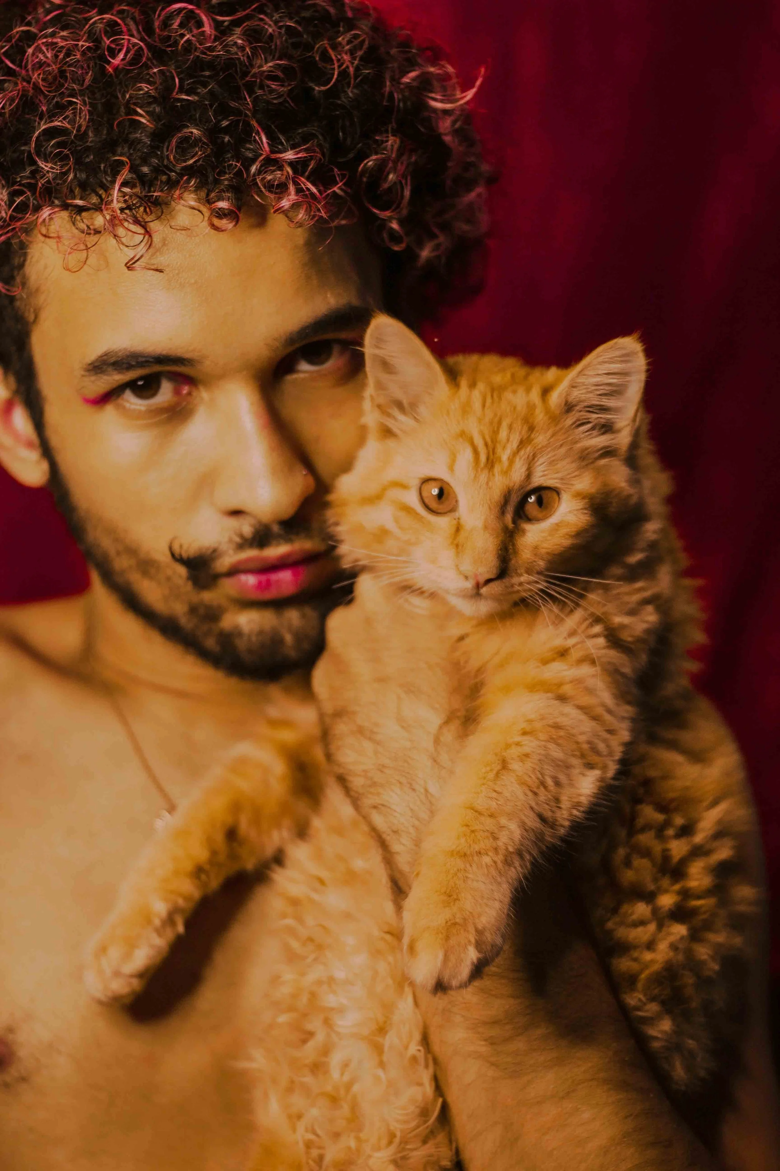 Proven Strategies for Preventing Cat Biting and Scratching — Best Pet Daily