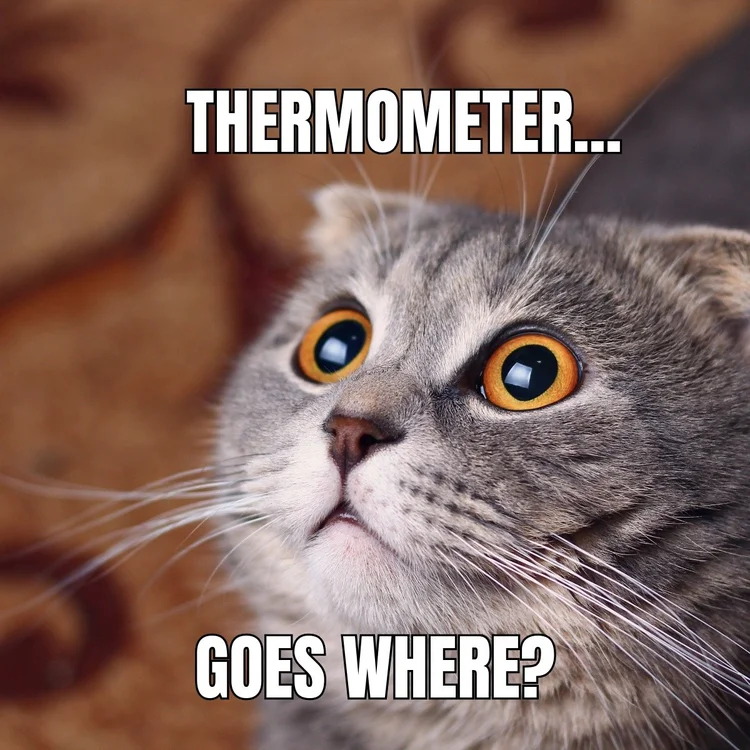 Pet Meme: Thermometer... Goes Where? — Best Pet Daily