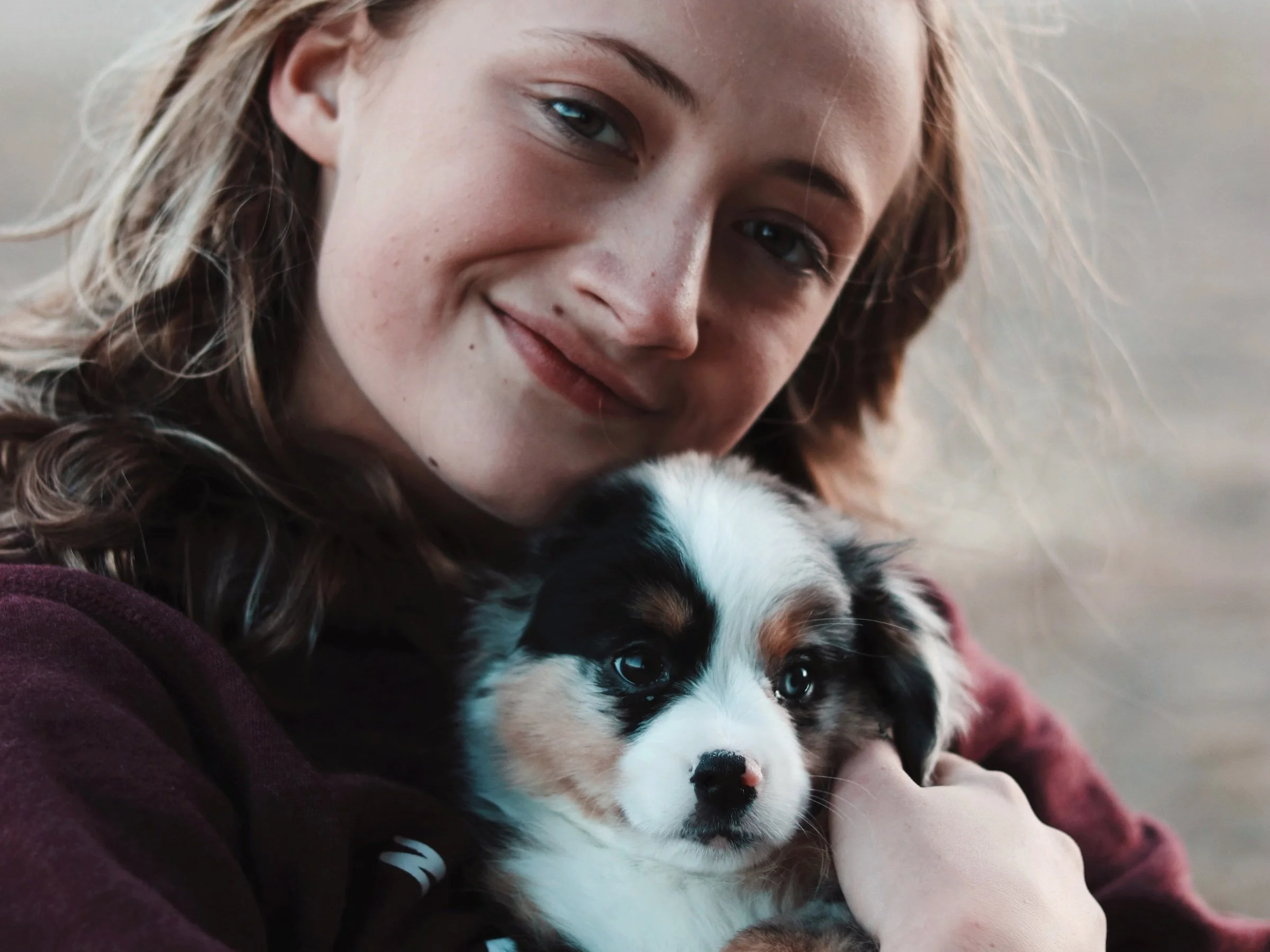Choosing the Best Pet Sitter: Your 14 Point Checklist — Best Pet Daily