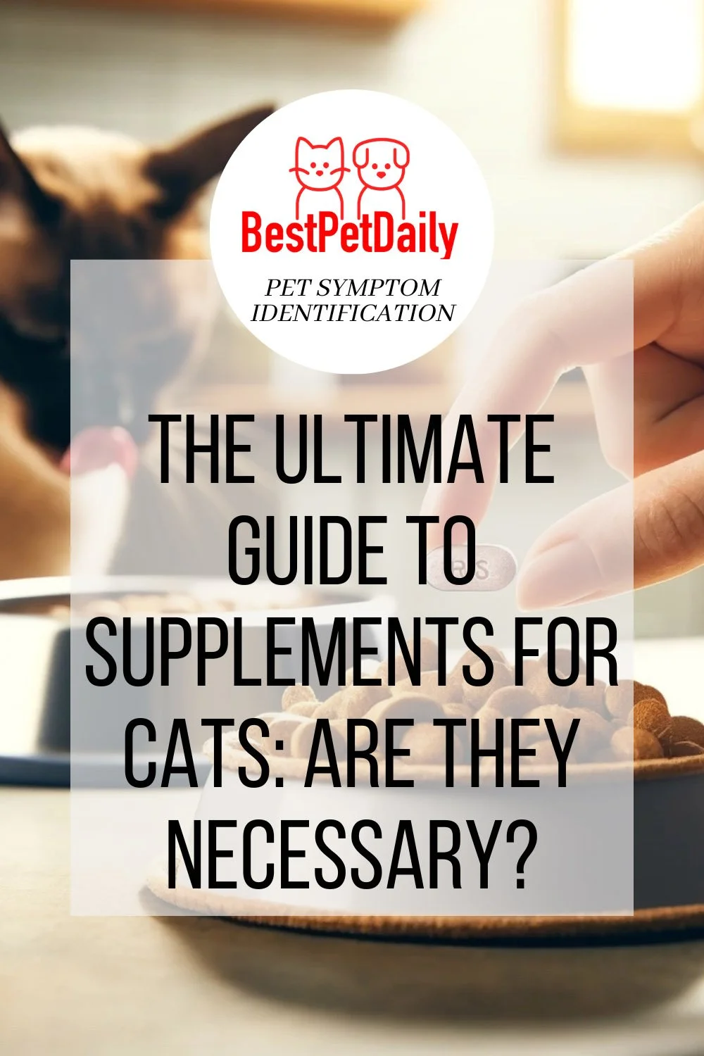The Ultimate Guide to Supplements for Cats: Are They Necessary? — Best ...