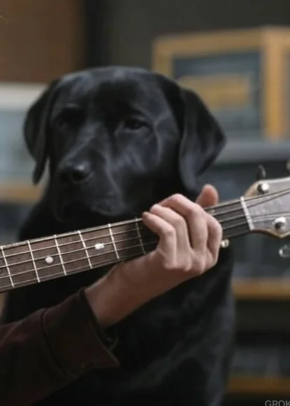 Led Zeppelin’s ‘Black Dog’: The Rock Classic with a Canine Connection ...