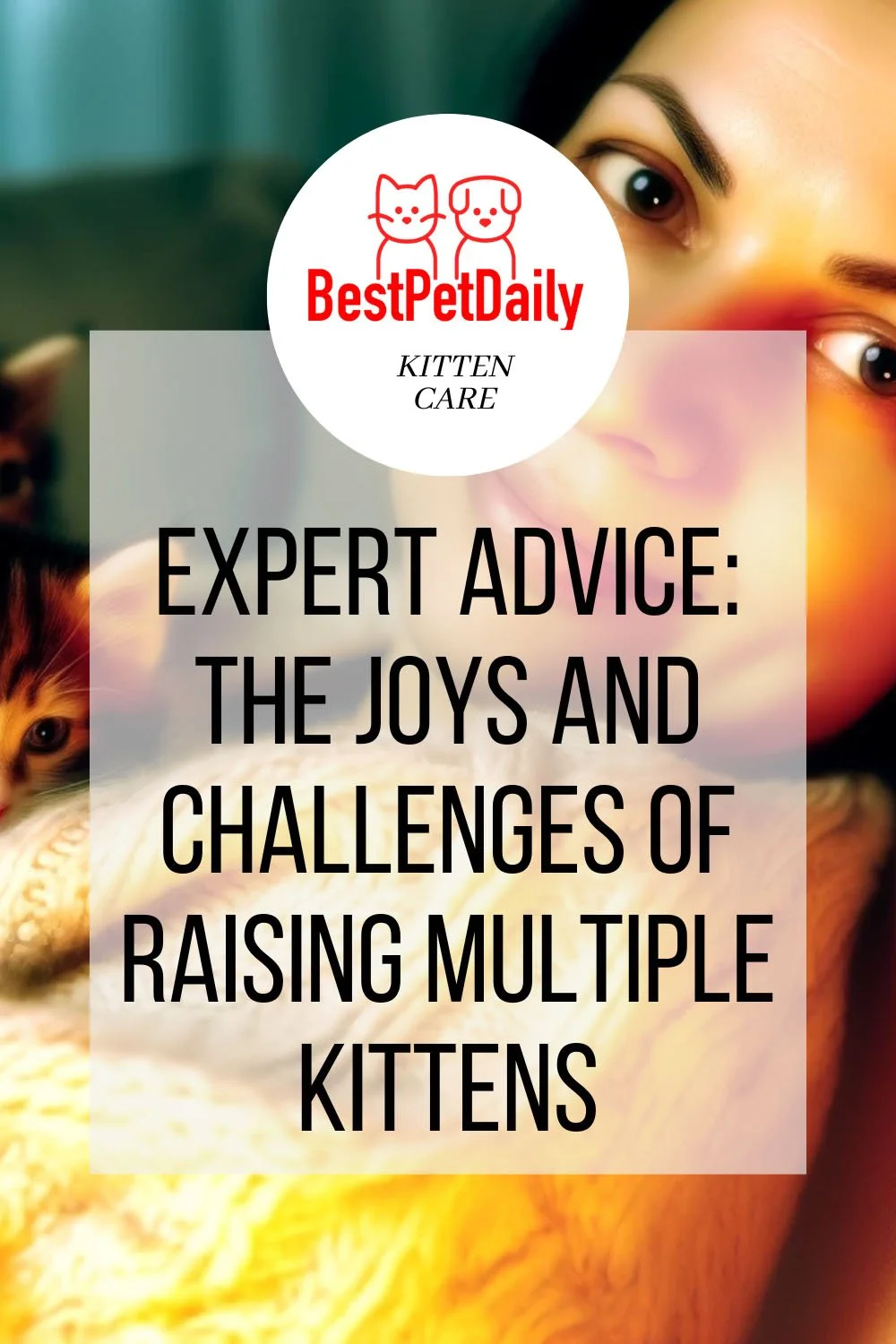 Expert Advice: The Joys and Challenges of Raising Multiple Kittens ...