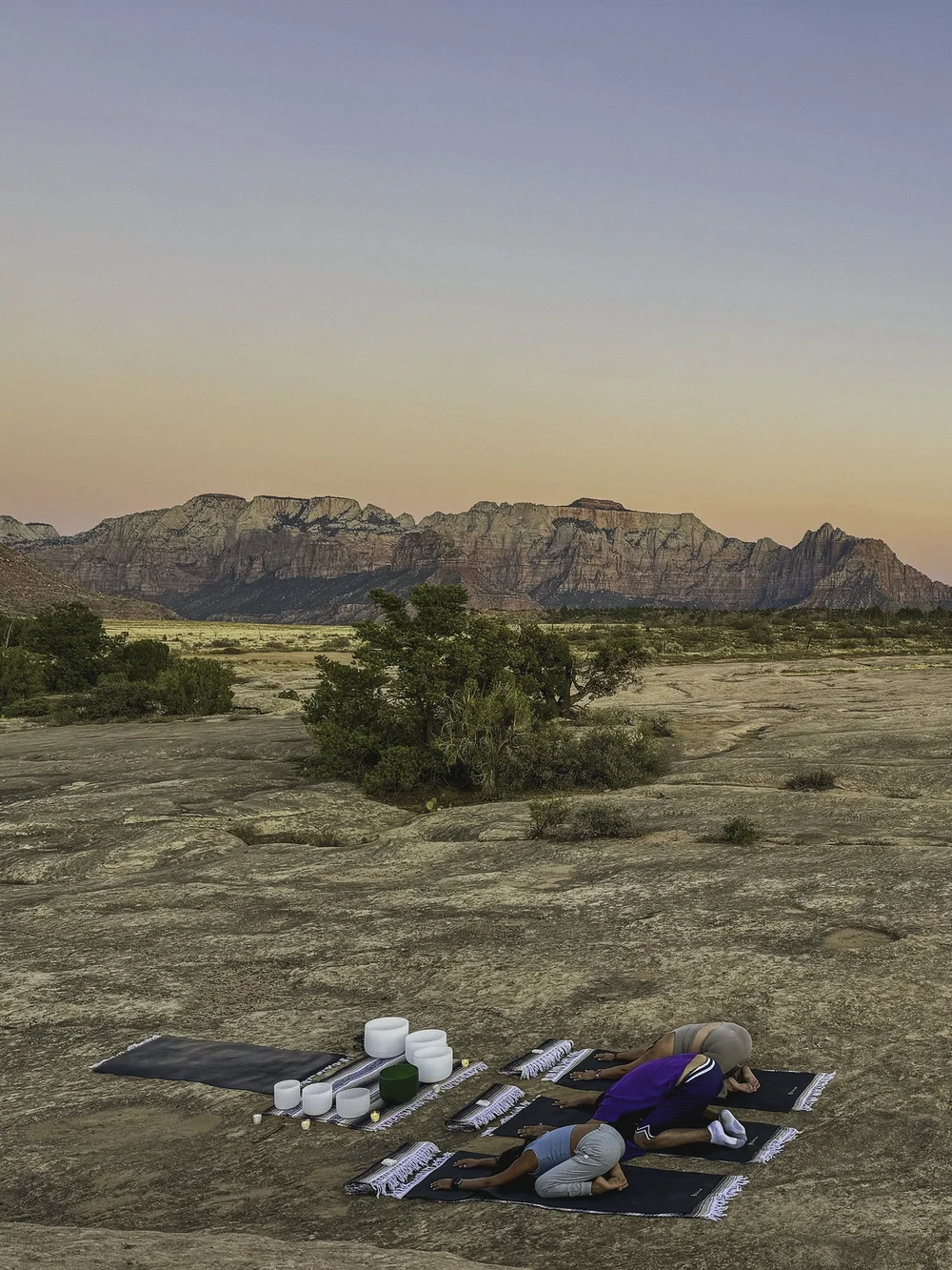 Cosmic Flow: Yoga, Meditation & Sound Healing in Zion National Park