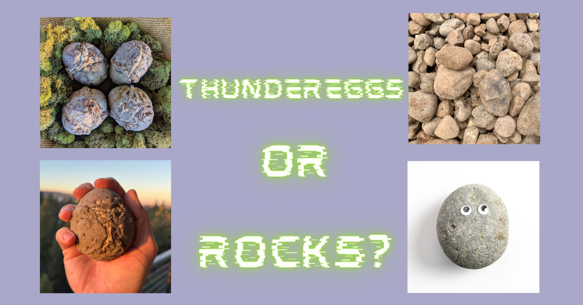 How to Tell if a Rock is a Thunderegg: Identification Guide with Charts ...