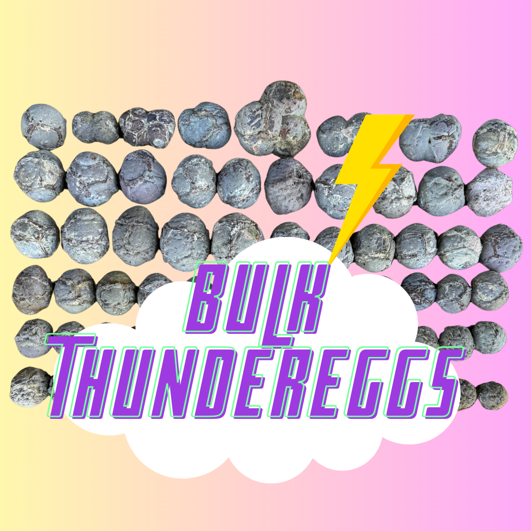 Unopened Oregon Thundereggs for Sale: Own a piece of Prehistoric ...