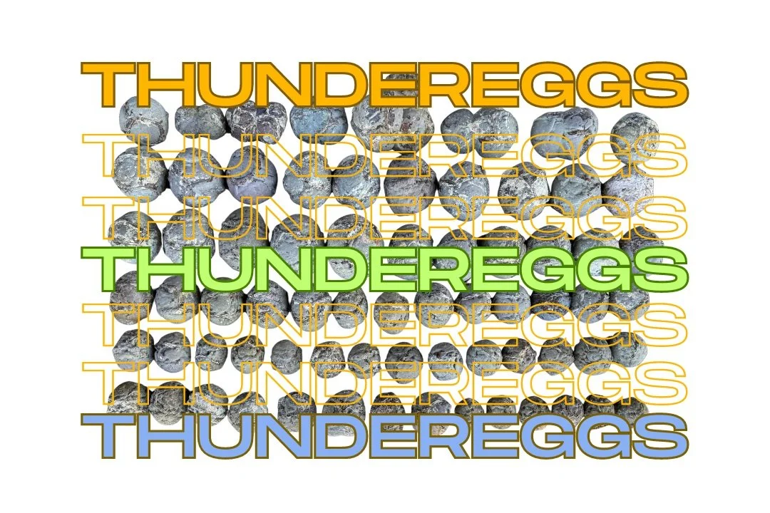 How to Dig and Cut Your Own Thundereggs: The Ultimate Guide — Only ...