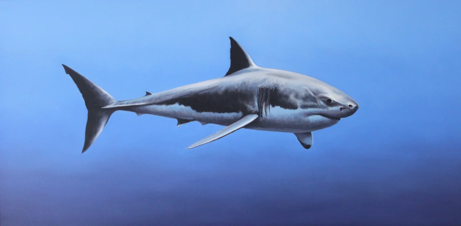 For Sale Graeme Lothian Artist Website