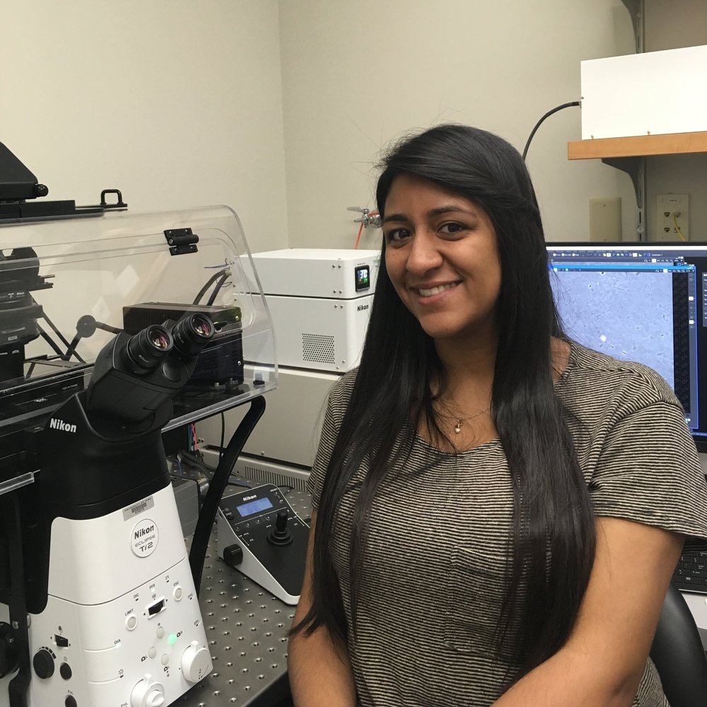 Team 1 — Limoli Lab | Indiana Micro