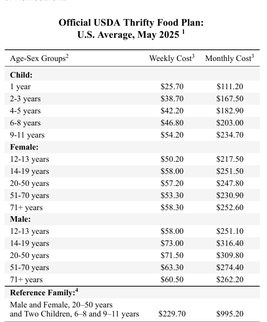 A Family of 3 Monthly Food Budget: June 2025 — The Work From Homesteader