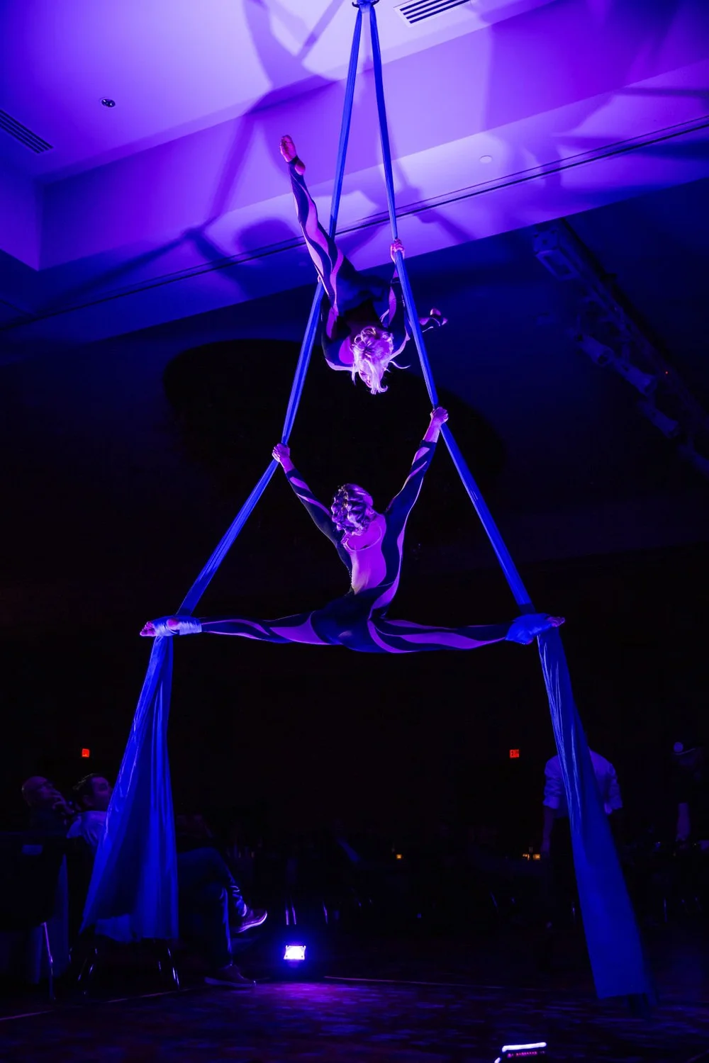 Aerialists in Nashville for Events | Aerial Shows, Performers ...