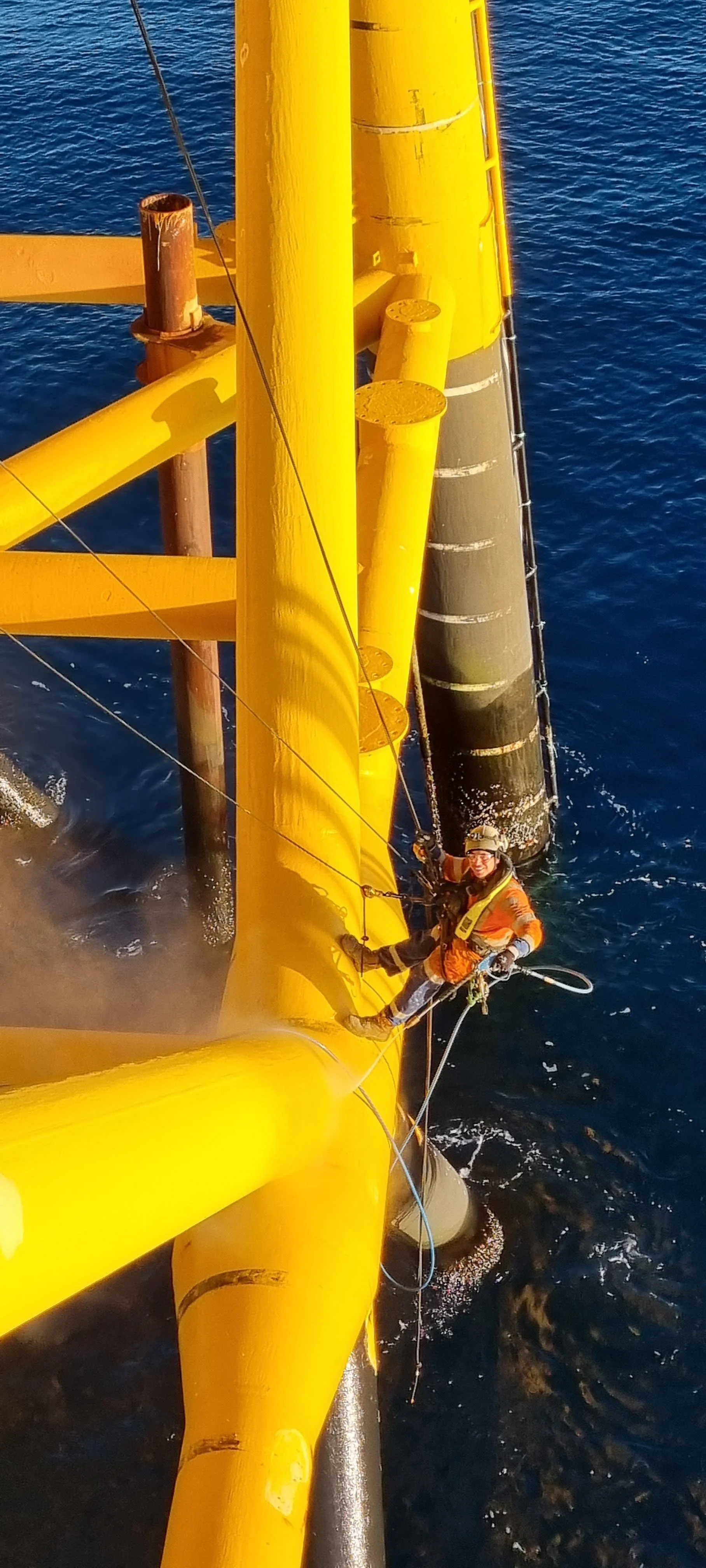 Services — TEX Group