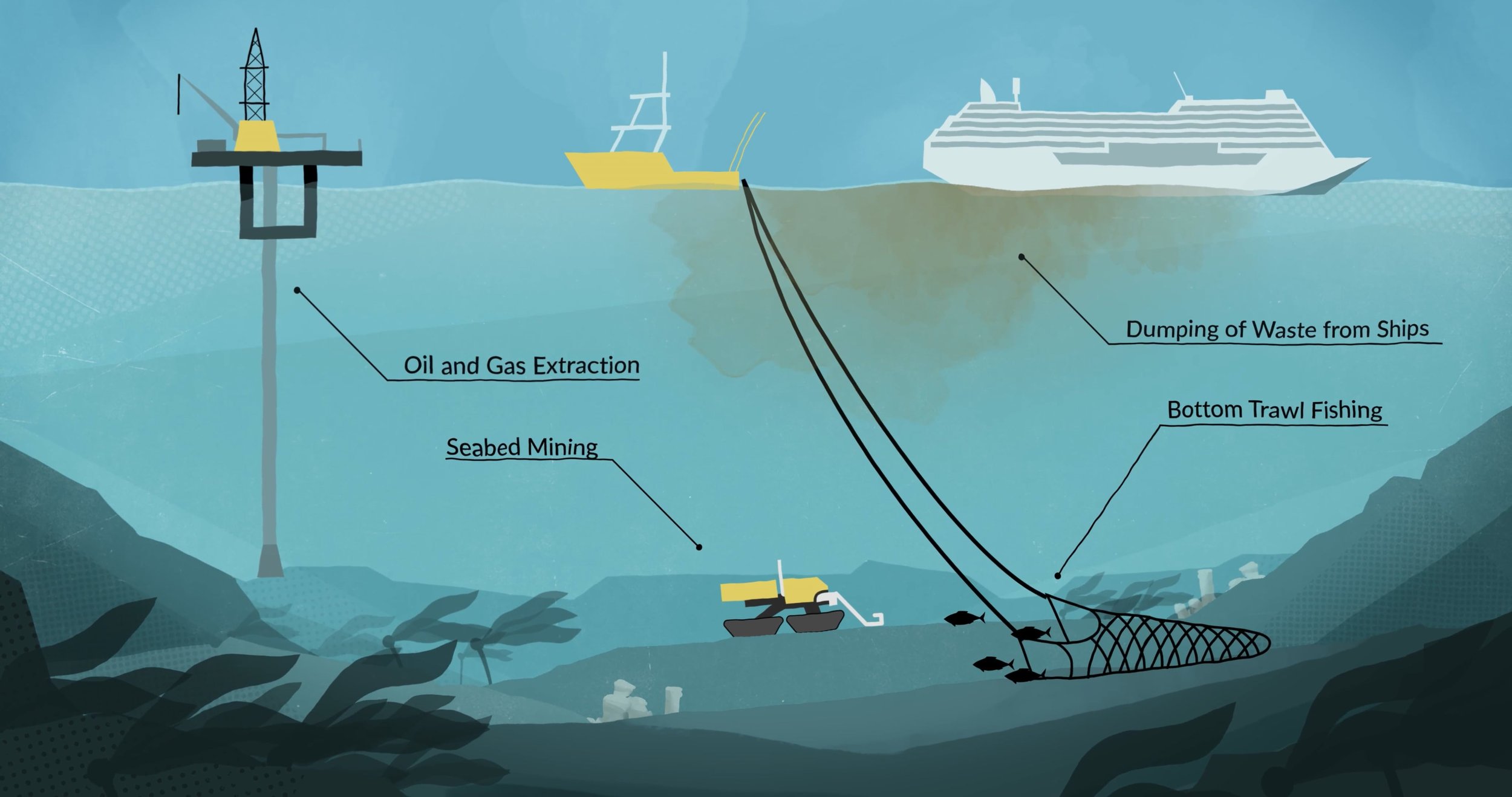 Marine Protected Areas — Hammock Animation