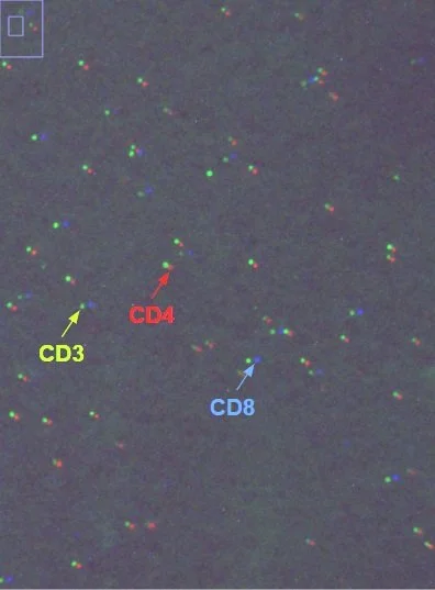 Cell Research — Accesso Biotech