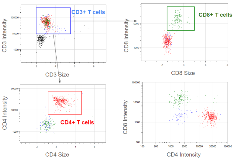 New point of care CD4 test — ACCESSOBIO