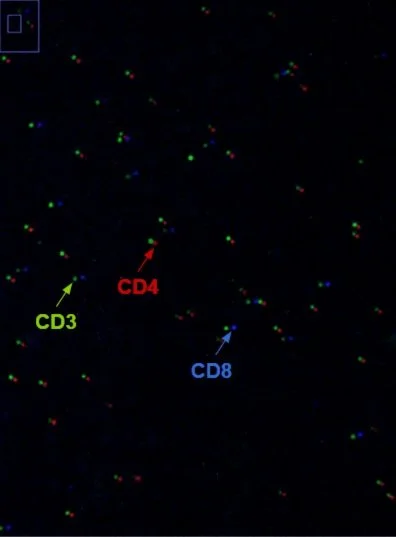 Cell Research — Accesso Biotech