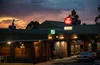 Blazing Stump Hotel