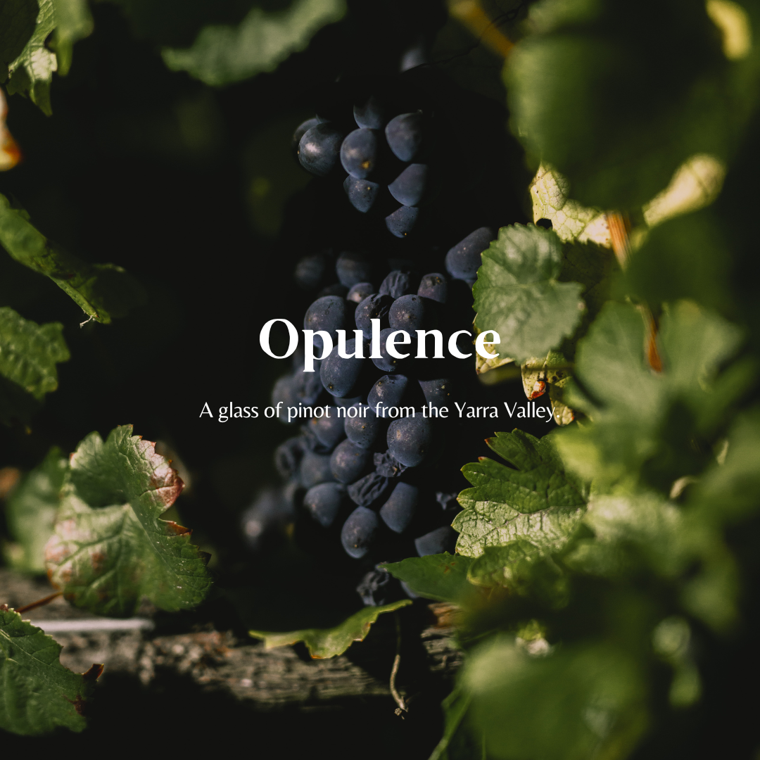 Marketing For Small Business Melbourne | Apol Creative Strategy