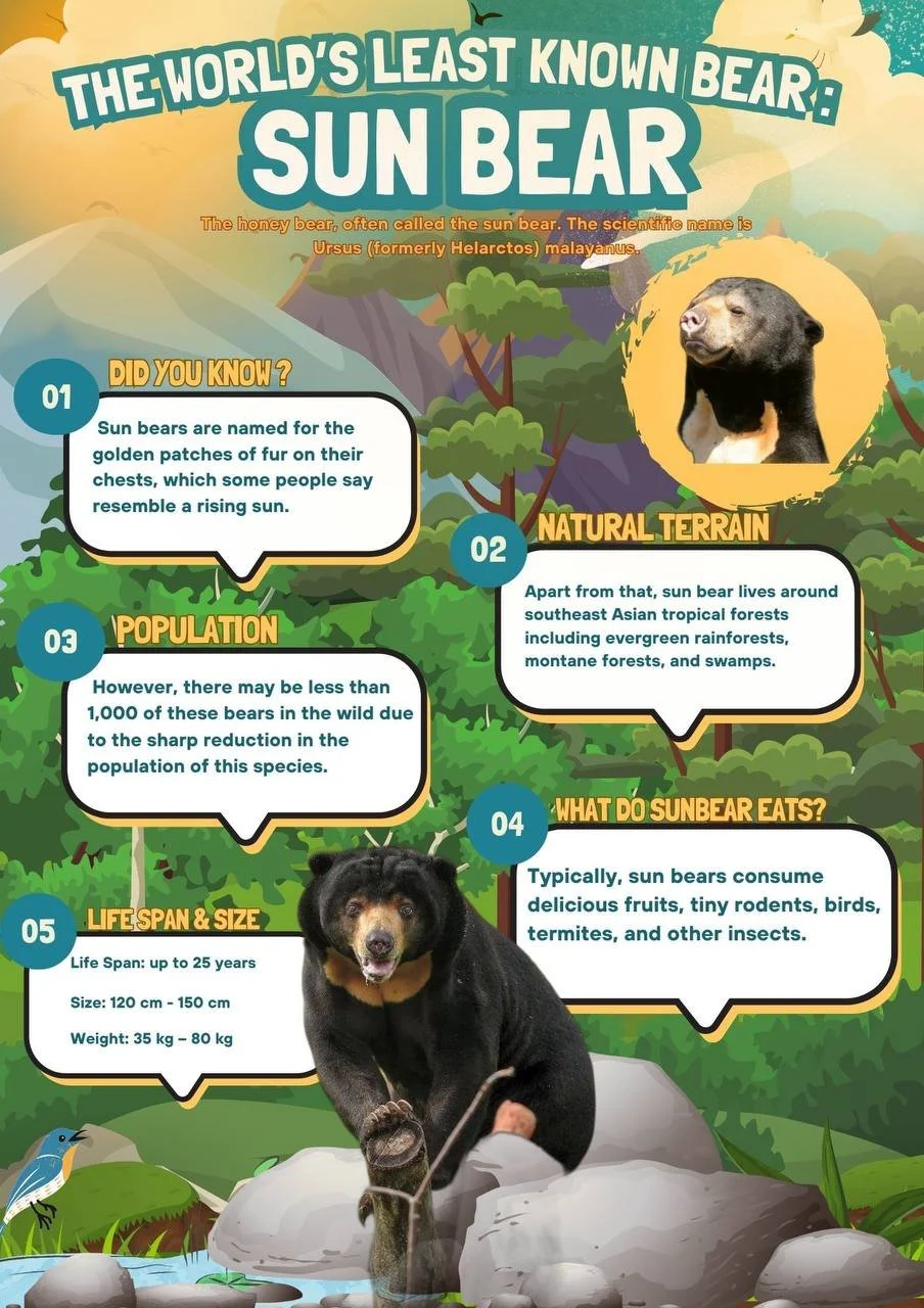 Infographic Poster Contest (International Sun Bear Day 2024) — Bornean ...