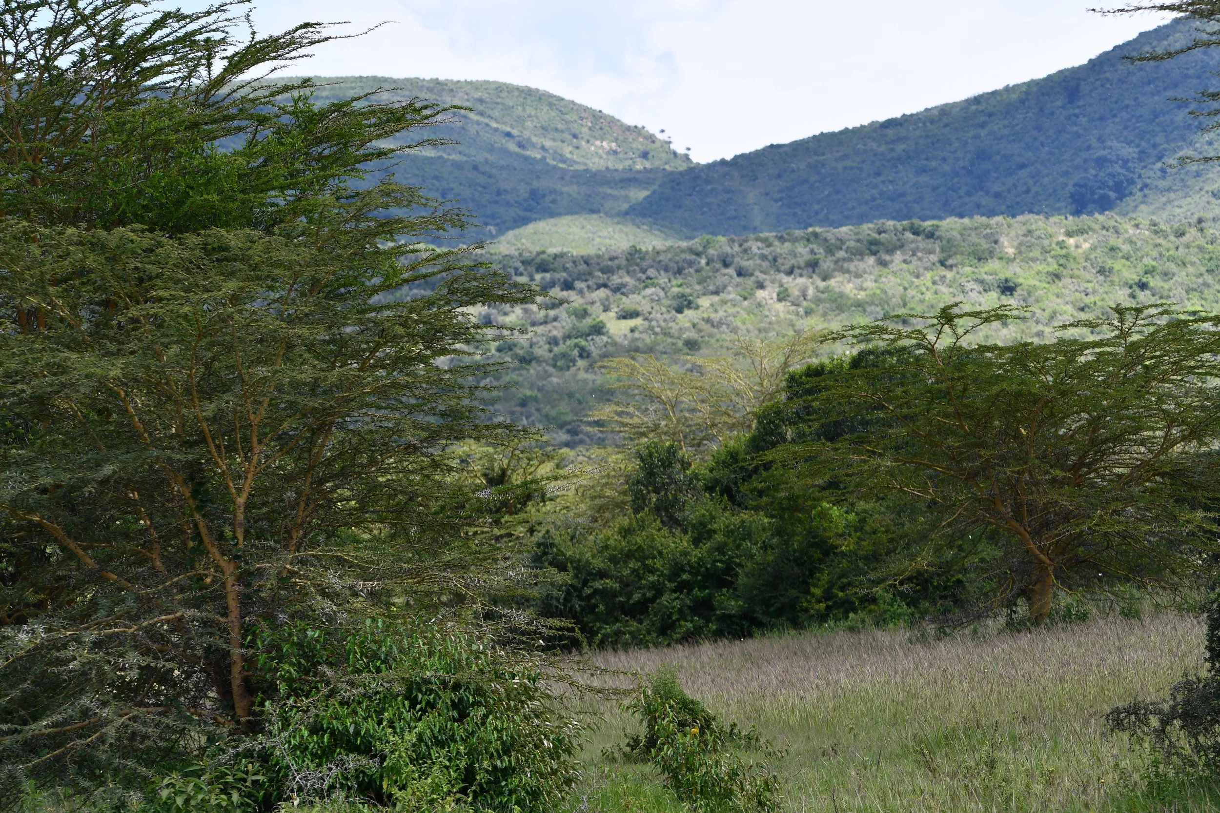 About us — Enarau Conservancy