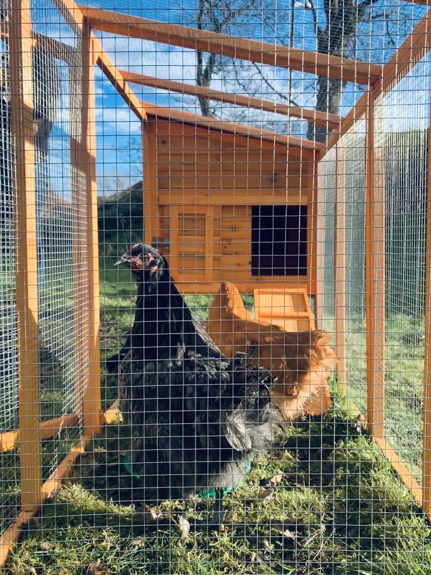 Hopespring Independent Therapeutic School Sunderland — Hopespring Schools