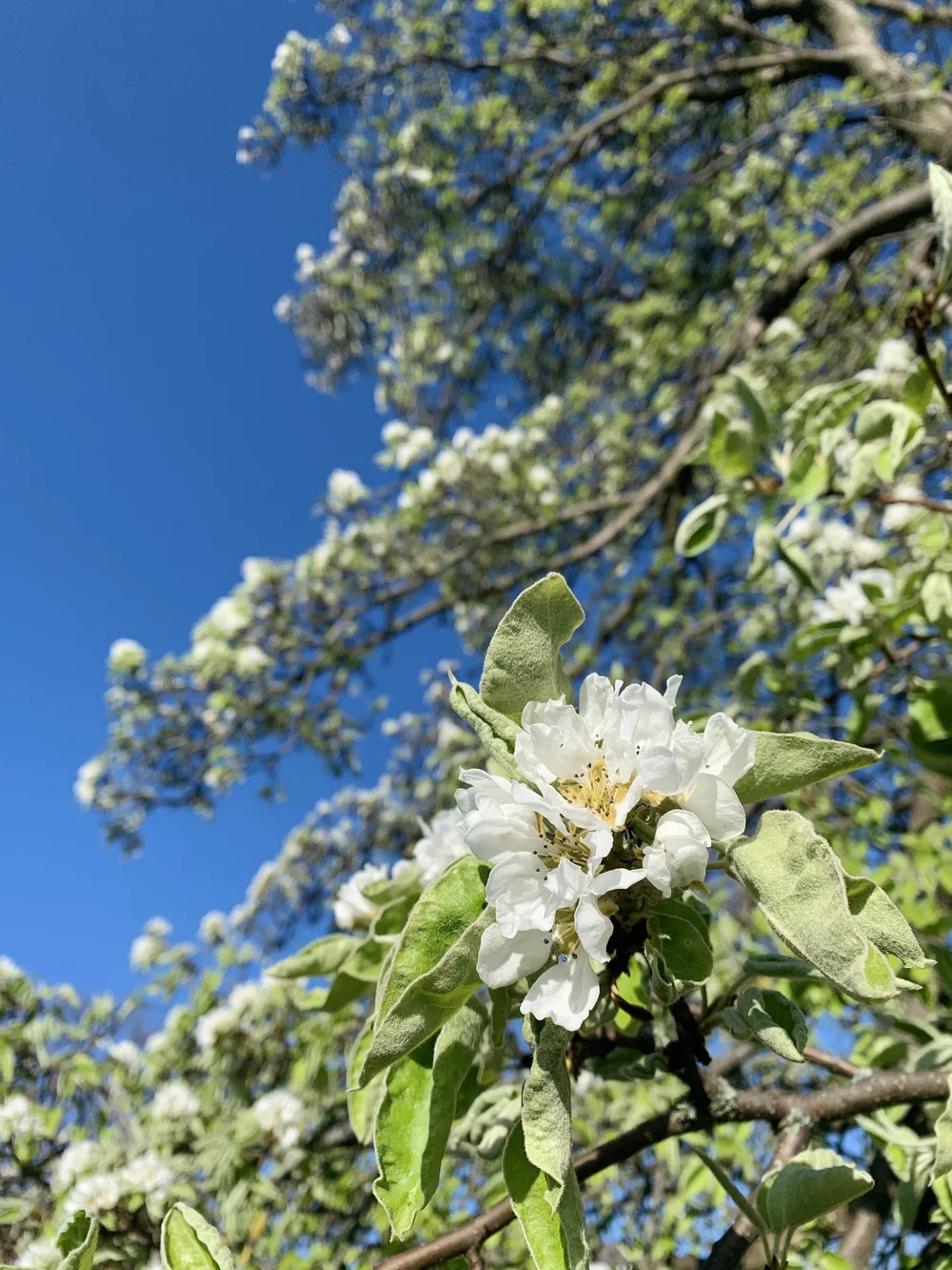 Hopespring Independent Therapeutic School Sunderland — Hopespring Schools