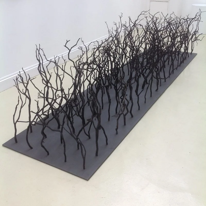 Controlled Burning — Anita Reynolds
