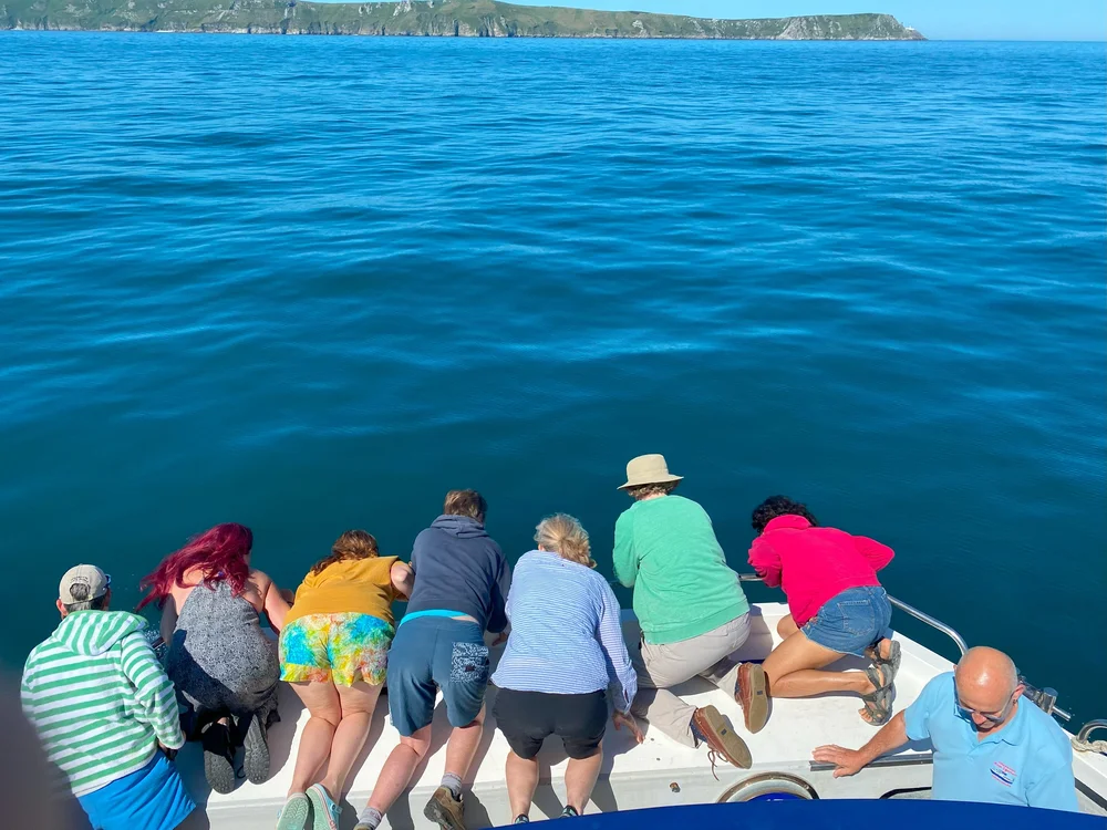 Swim — Lundy Diving
