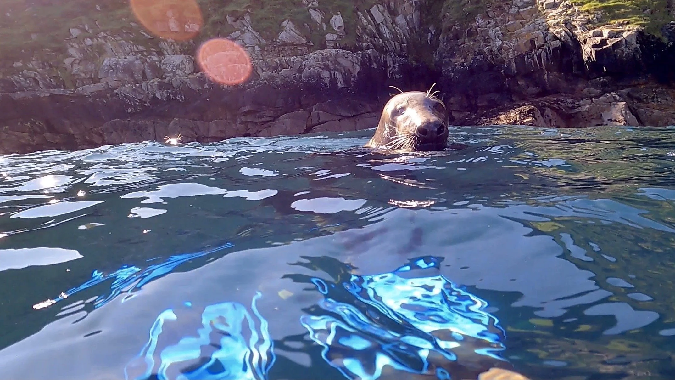 Swim — Lundy Diving