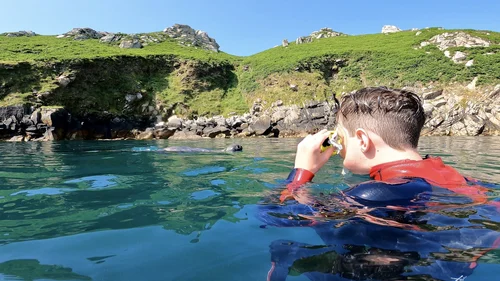 Swim — Lundy Diving